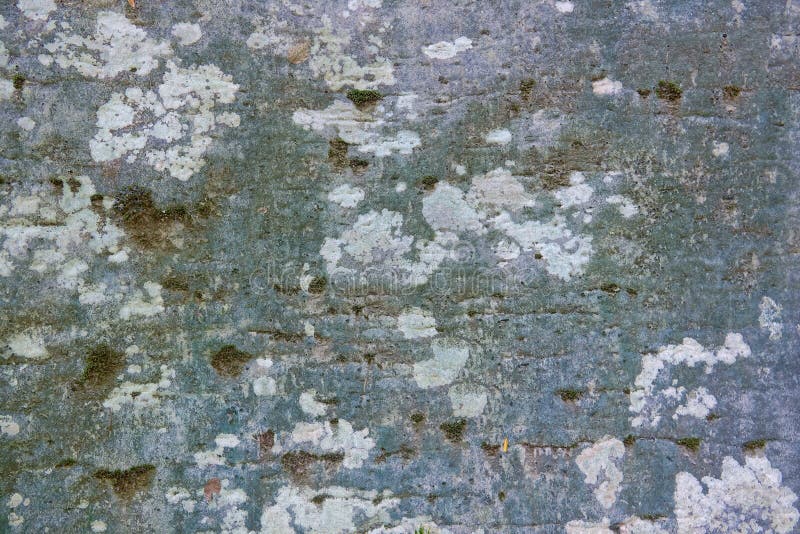 Oolitic Texture Stock Photos - Free & Royalty-Free Stock Photos from ...