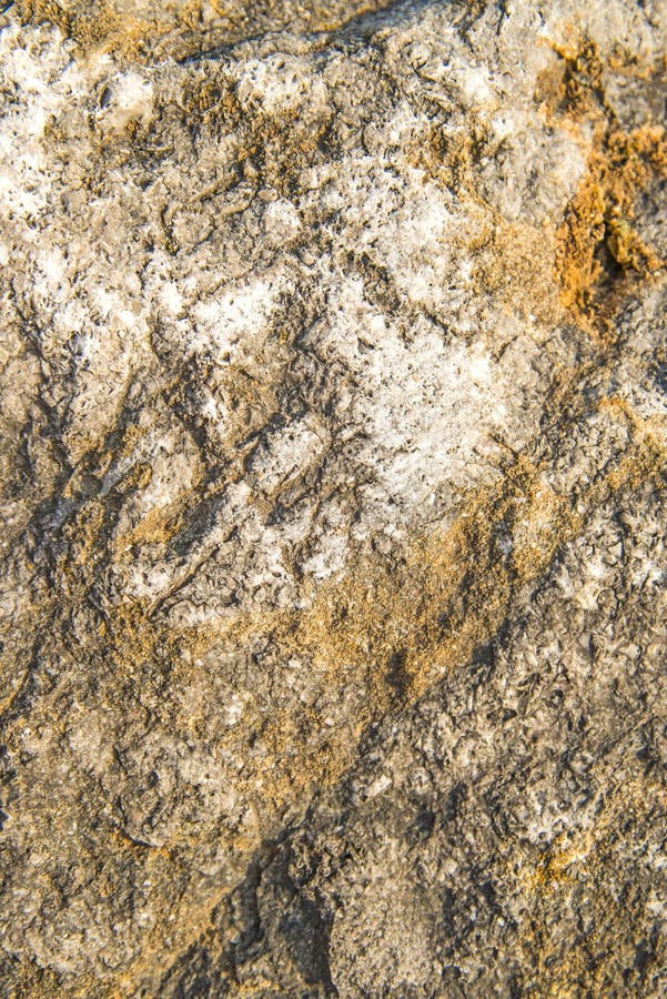 Rock surface stock image. Image of stone, close, natural - 59184079
