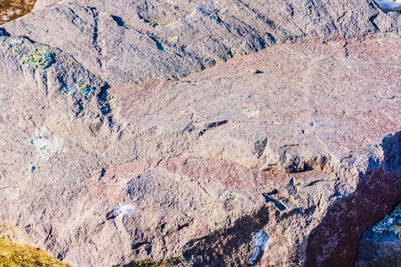 Rock Surface Detail stock photo. Image of backgrounds - 99581658