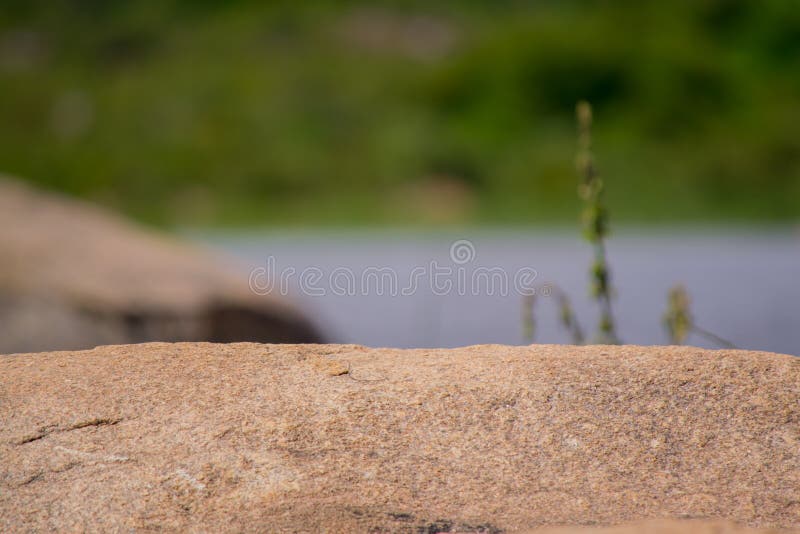 Rock Surface Dwalla Green Trees Stock Image - Image of trees, dwalla ...