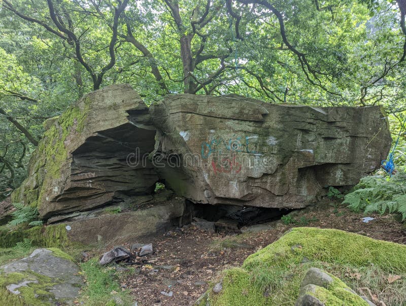 Rock Surrounded by Dense Trees Editorial Photo - Image of ecology ...