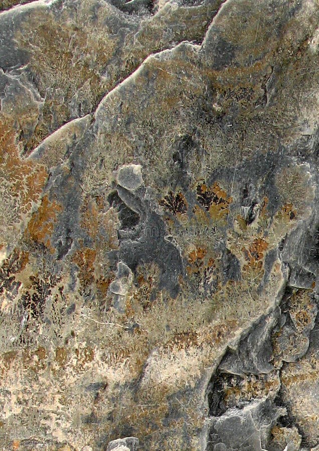 Rock Texture 21 Picture. Image: 86690723
