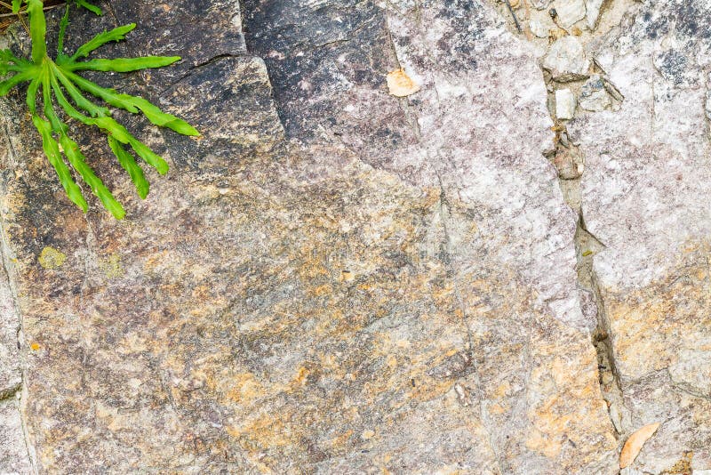 Rock texture background stock image. Image of cobble - 56238343