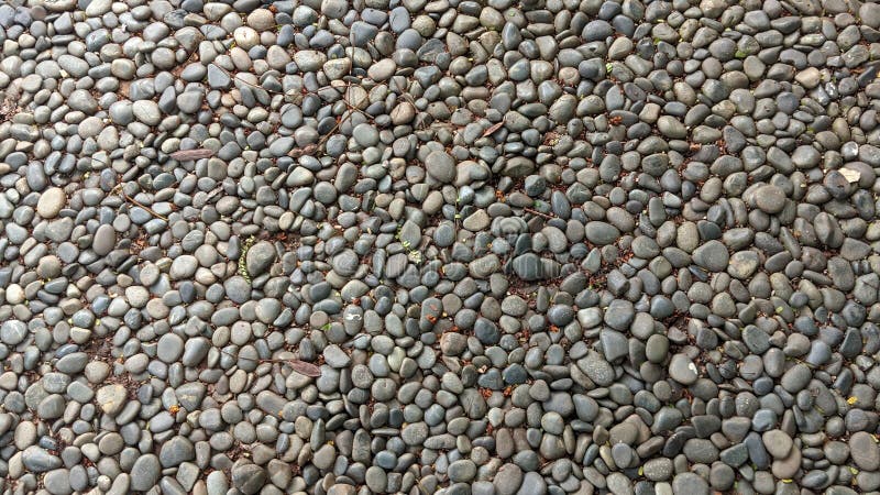 Rock Texture Background with Dry Twigs and a Little Soil Stock Photo ...
