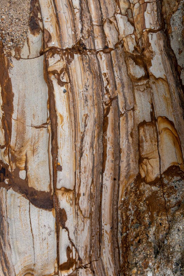 Rock Texture Background Franciscan Complex Stock Photos - Free ...