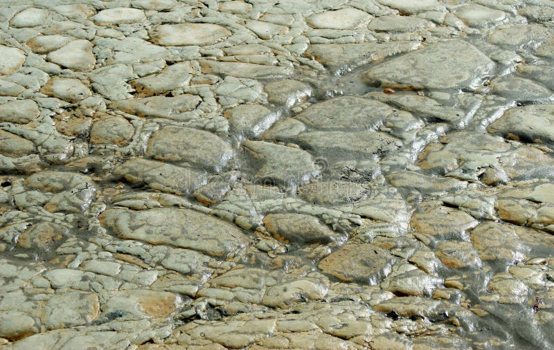 Rock texture at the Beach stock photo. Image of texture - 44250240