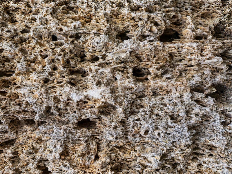 A Rock. Texture. Building Stone Limestone. Porous Surface Stock Image ...
