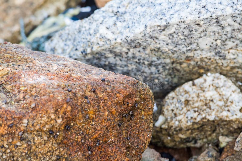 Rock texture in close up stock photo. Image of granite - 91526678