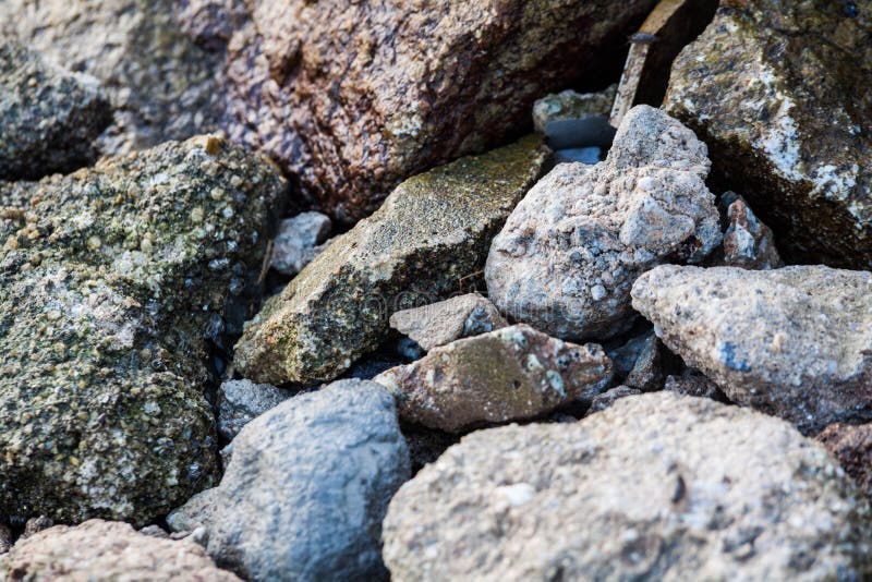 Rock texture in close up stock photo. Image of limestone - 93729116