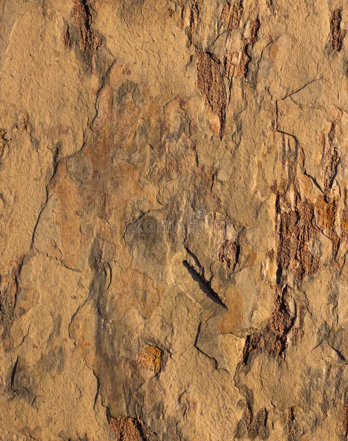 Crumbled rocks stock photo. Image of irregular, alluvium - 19737552