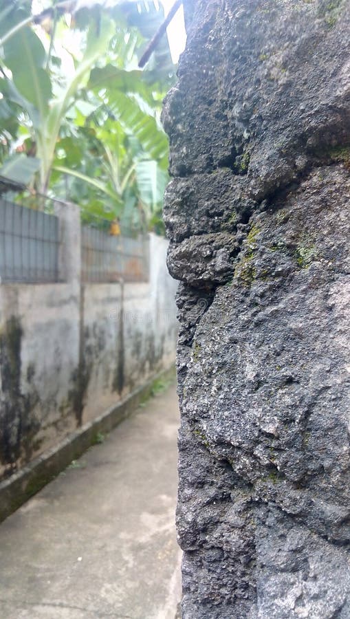 Rock texture stock photo. Image of stone, rock, texture - 101368654