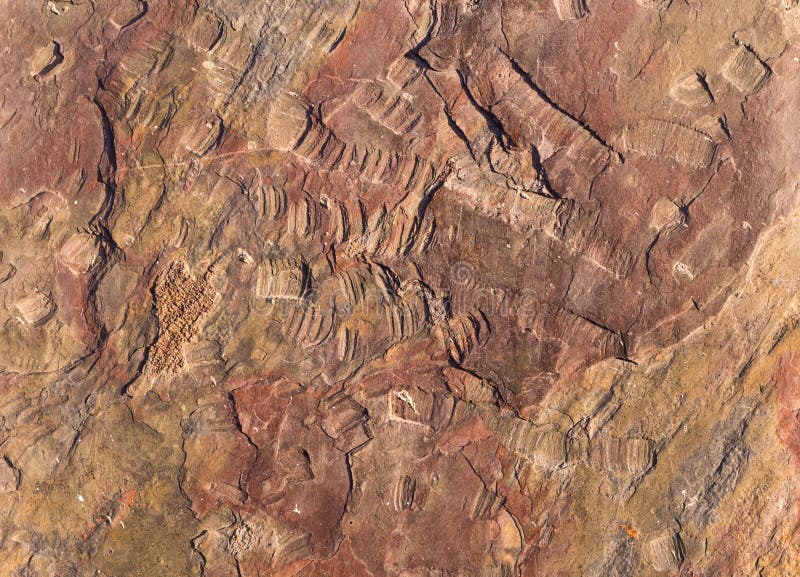 Rock Texture Rough stock image. Image of texture, nature - 30422813