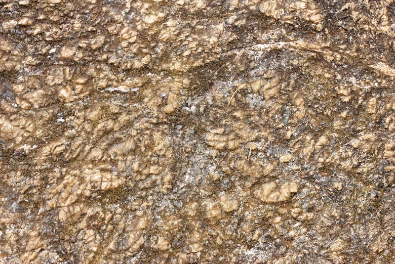 Rock texture stock image. Image of rugged, nature, abstract - 46351595