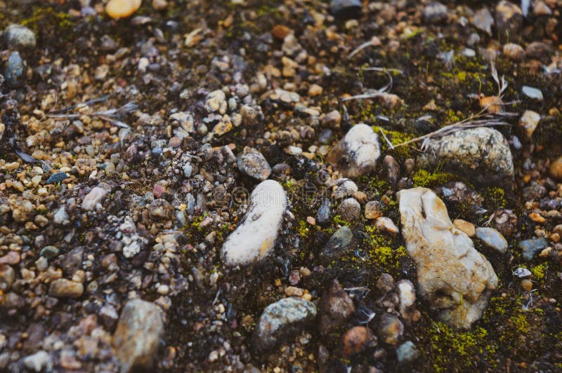 Rock Texture of Small Moss Stones Stock Image - Image of texture ...