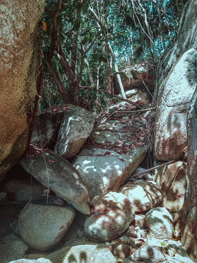 Rock and tree stock image. Image of geology, rock, nature - 190958745