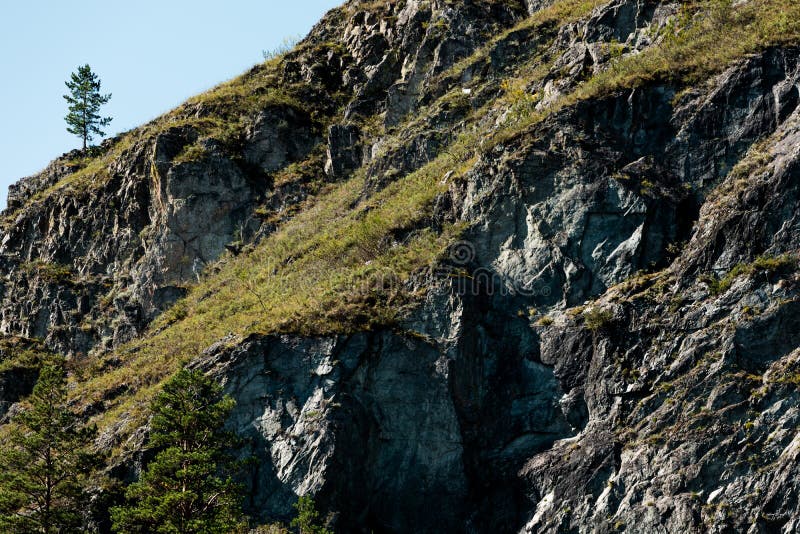 A Tree on the Slope in the Fog at Morning Stock Image - Image of fall ...