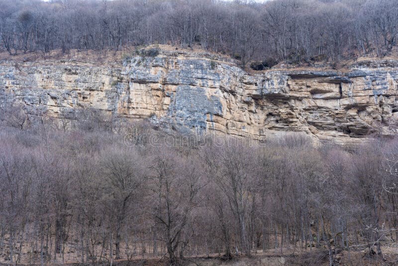 Rock with Trees Growing Above and Below it Stock Image - Image of ...