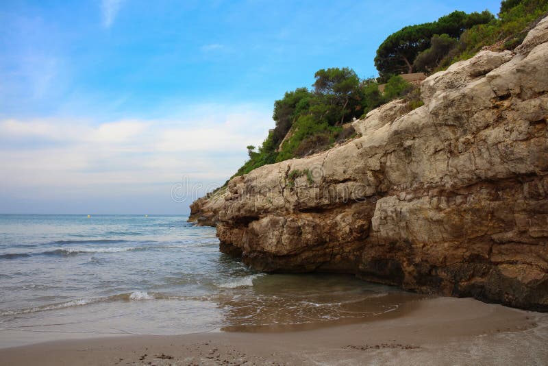 Rock with Trees on the Sandy Beach of Salou Against the Blue Sky. Spain ...