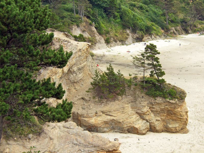 Rock and Trees on Shoreline Stock Photo - Image of nature, scenic: 55991452