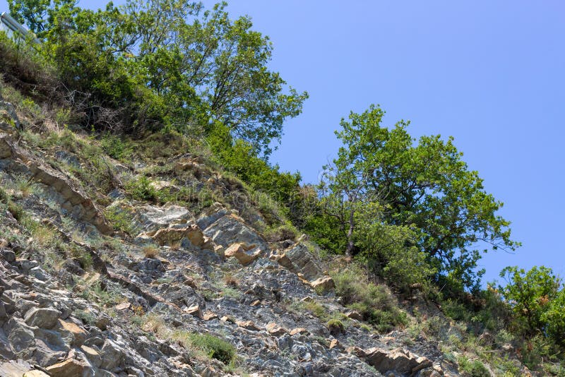 Rock with trees on top stock image. Image of blue, outdoors - 190991189