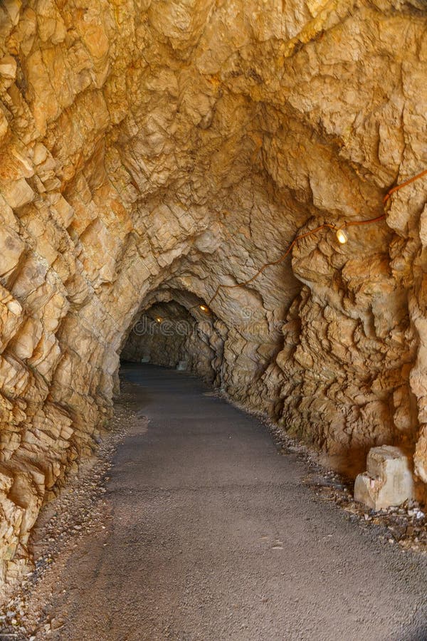 Through the rock stock photo. Image of trunk, tunnel - 342013302