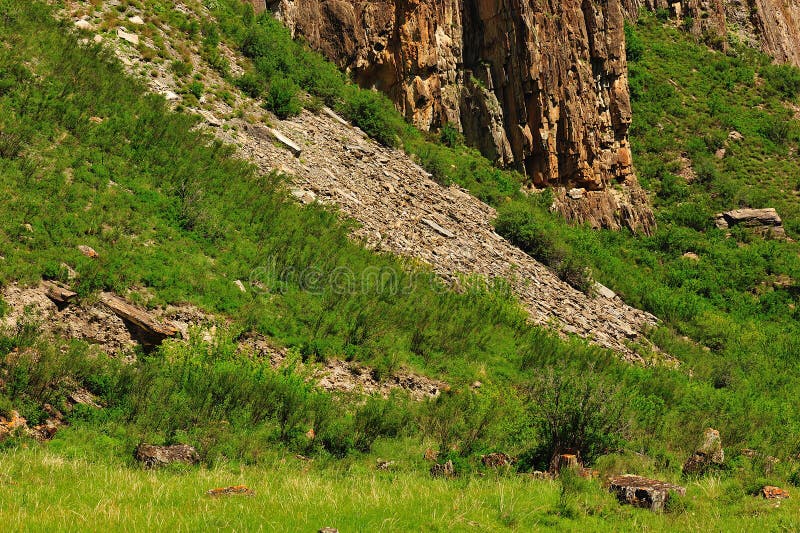 Rock with vegetation stock image. Image of flower, mountains - 23525619