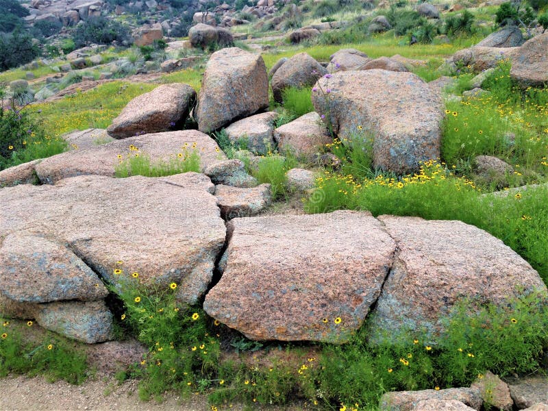 Rock, Vegetation, Boulder, Bedrock Picture. Image: 124939721