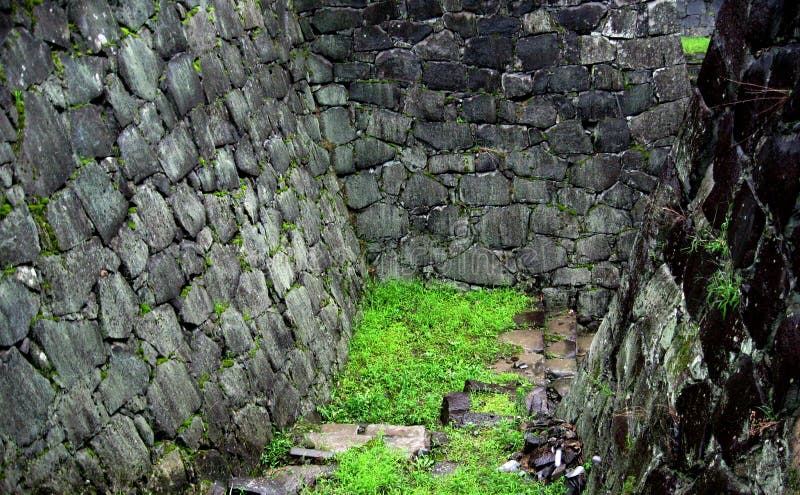 Rock, Vegetation, Tree, Grass Stock Photo - Image of woodland, trunk ...