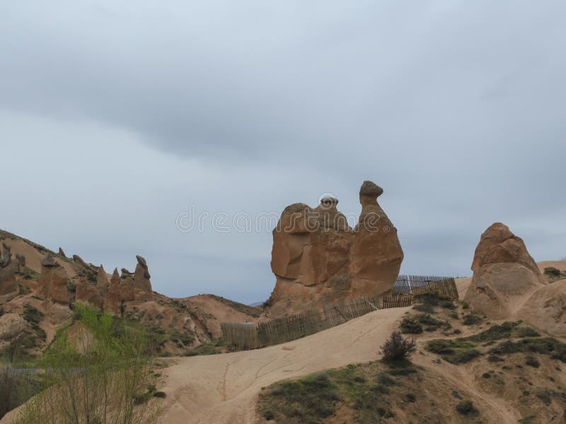 Rock of Volcanic Origin in the Form of a Camel in Turkish Cappadocia ...