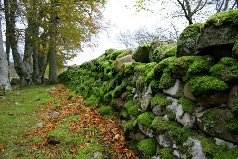 Rock wall stock image. Image of green, cold, meadow, wall - 8323573