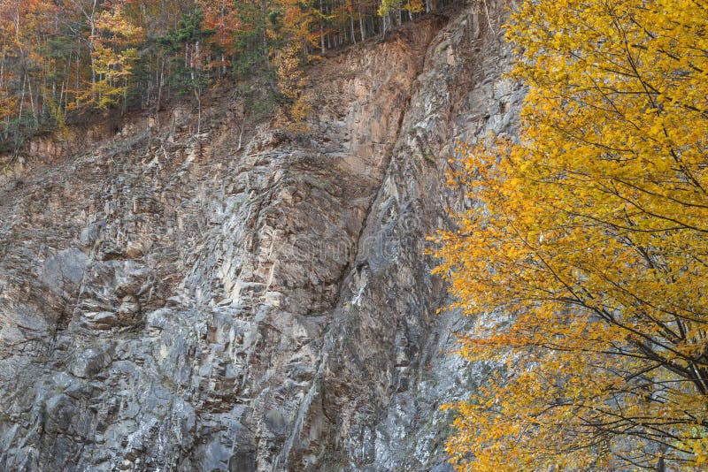 Rock Wall with Autumn Trees Stock Image - Image of natural, environment ...