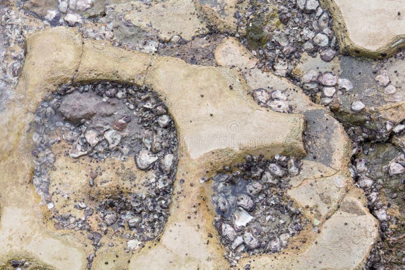 Rock wall stock photo. Image of wall, ancient, hard, background - 43744218