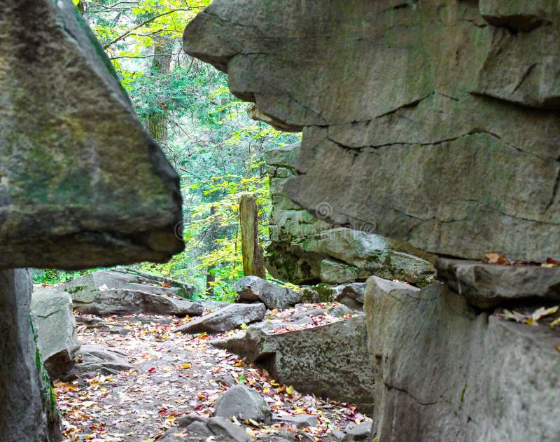 Rock wall on forest path stock photo. Image of green - 304460550