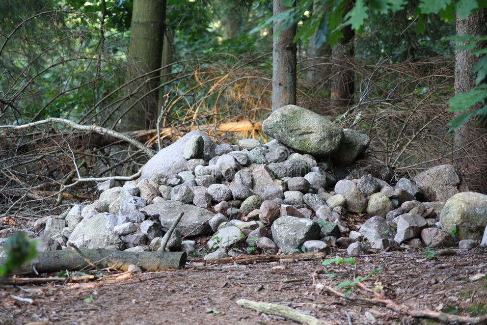 Rock wall in forrest stock image. Image of environment - 180983275