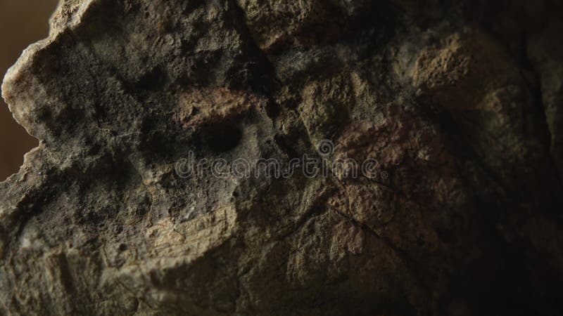 Rock Wall Surface with Mixed Light and Deep Shadows Stock Footage ...
