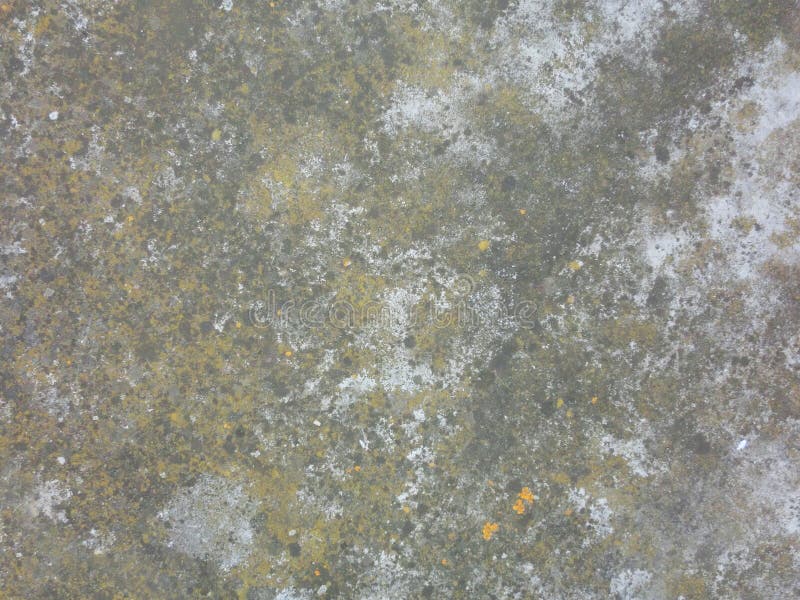 Rock and Wall Texture Nature Organic Background Texture and Powder ...