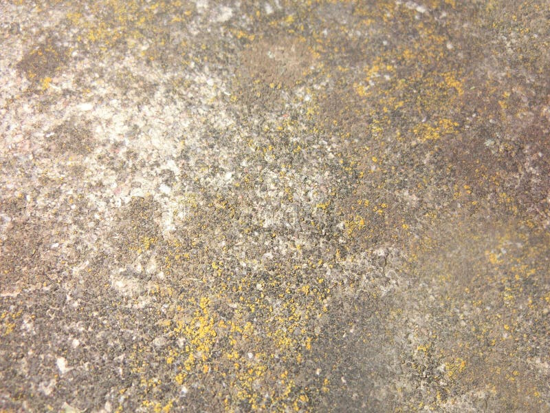 Rock and Wall Texture Nature Organic Background Texture and Powder ...