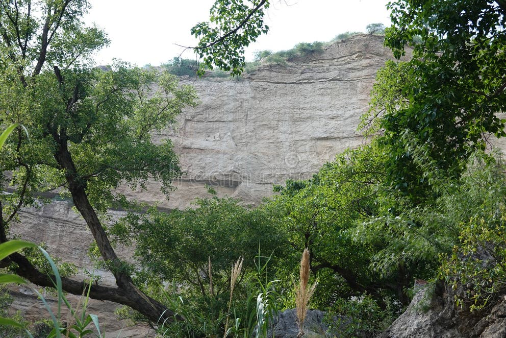 Rock wall and the trees stock photo. Image of climb - 207963618