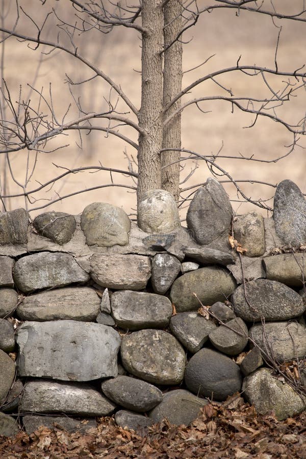 Rock Wall with Trees in Autumn Stock Image - Image of rock, trees: 58318029