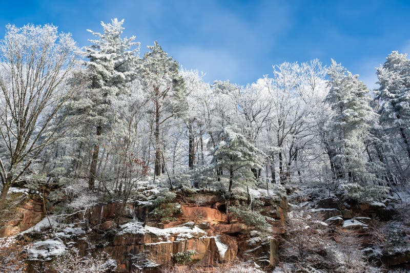 Rock Wall and Trees with Snow in Winter Stock Image - Image of icicle ...