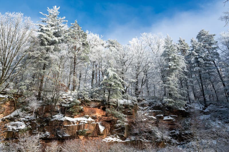 Rock Wall and Trees with Snow in Winter Stock Photo - Image of cold ...