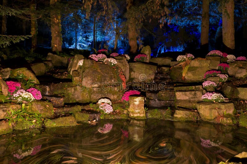 Pond by night stock photo. Image of water, enchanted - 108358856