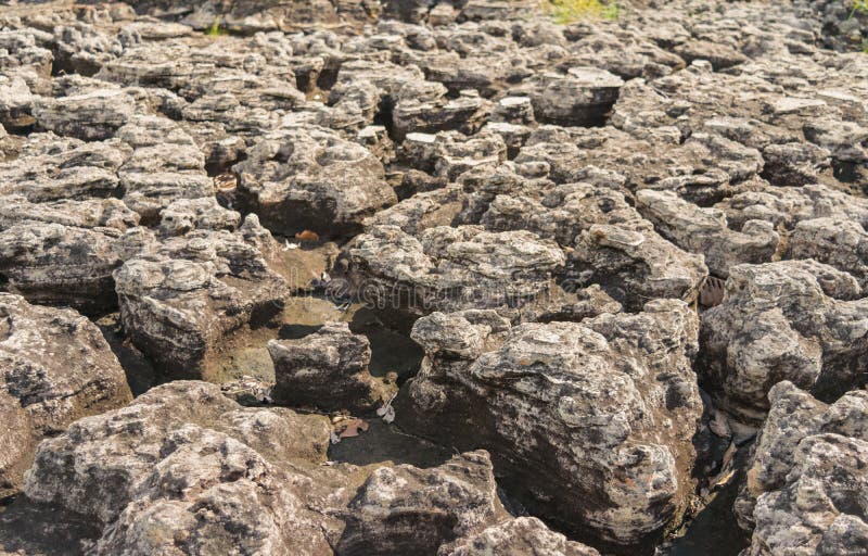 Wind-eroded Rock Formations Of Gray Stone In Desert Stock Image - Image ...