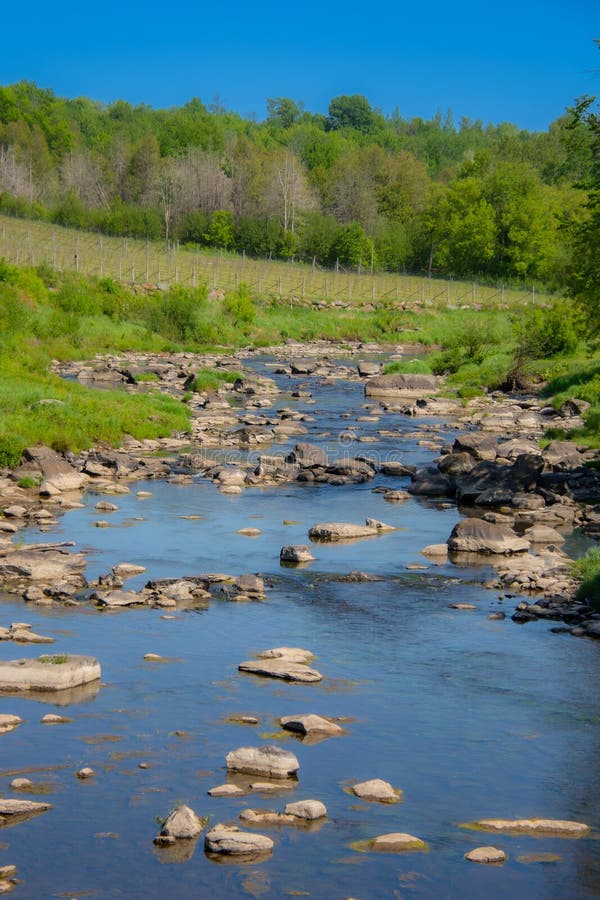Rock at Water Level in a River Stock Image - Image of summer, forest ...