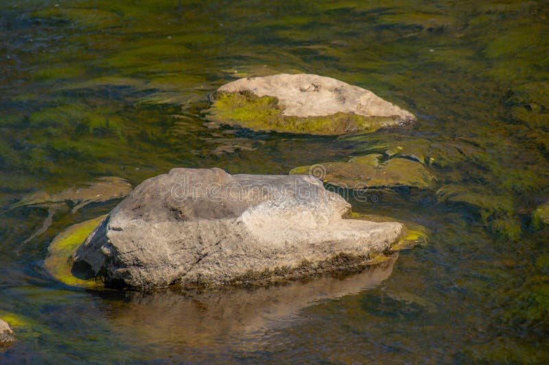 Rock at Water Level in a River Stock Photo - Image of stone, water ...