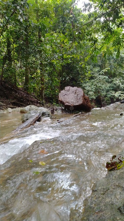 The Rock at the Waterfall on the Jungle Stock Image - Image of jungle ...
