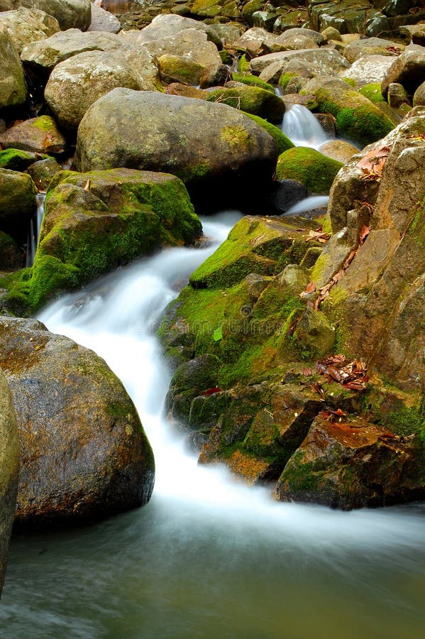 Rock waterfall with moss stock image. Image of green - 25509951