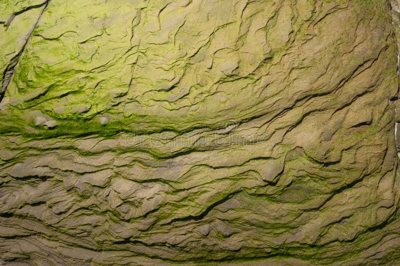 Rock wavy texture stock photo. Image of macro, element - 130036306