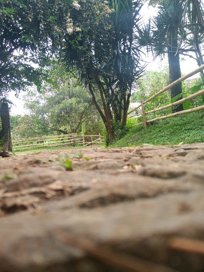 Rock way in garden stock image. Image of green, forest - 203541677