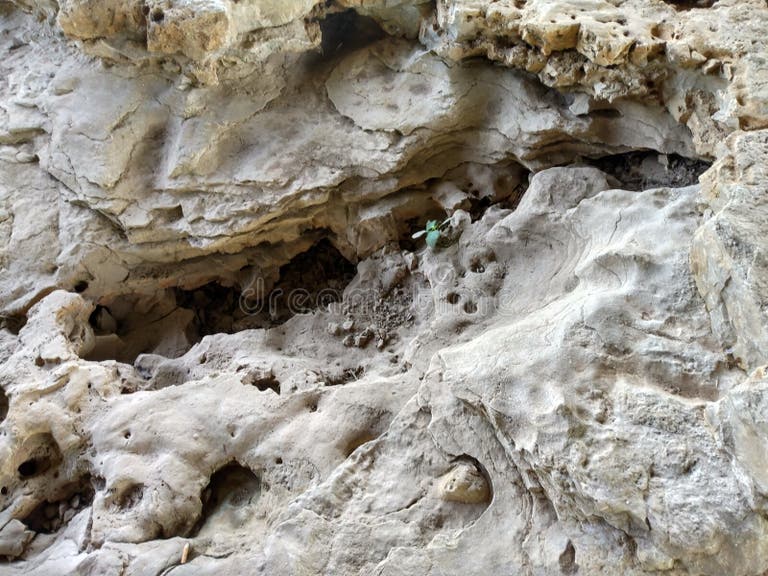 Rock weird stoned stock image. Image of cave, carving - 225835583